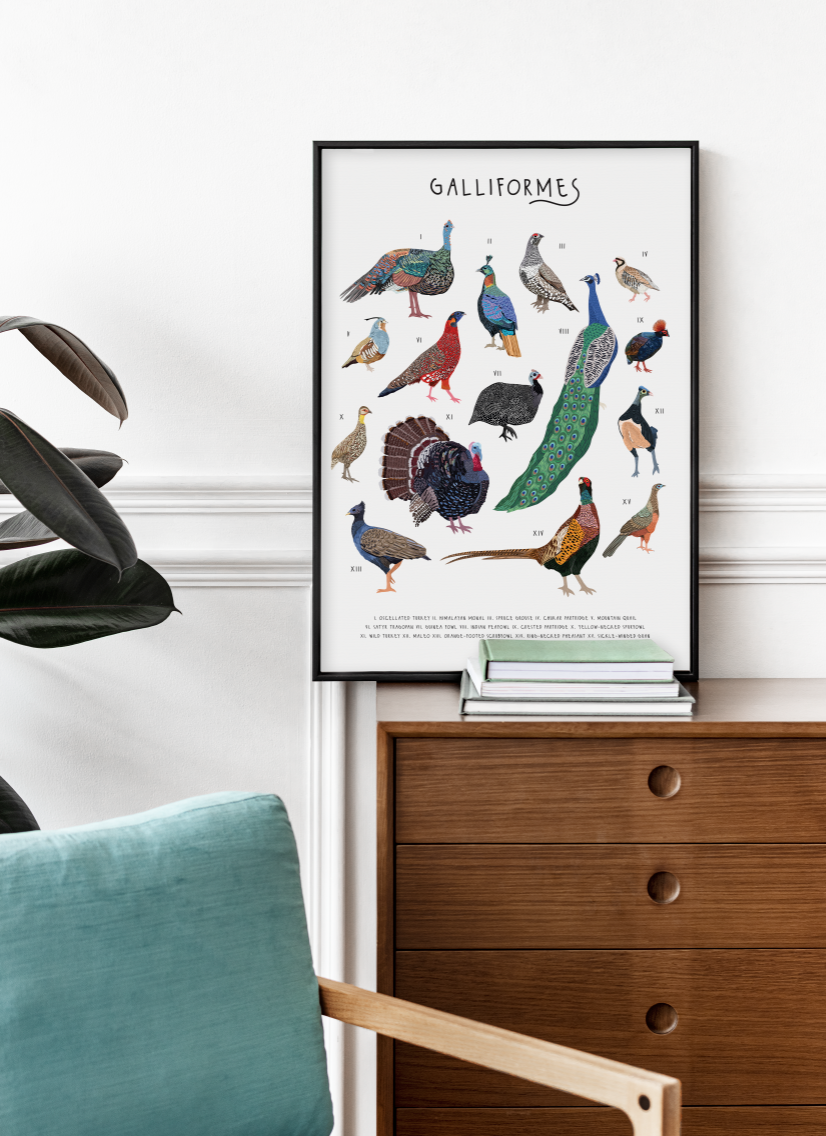 Galliformes Print – Bea Baranowska Illustration