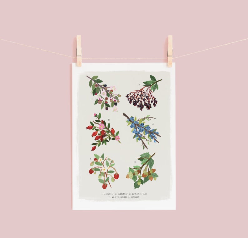 British Hedgerow Print – Bea Baranowska Illustration